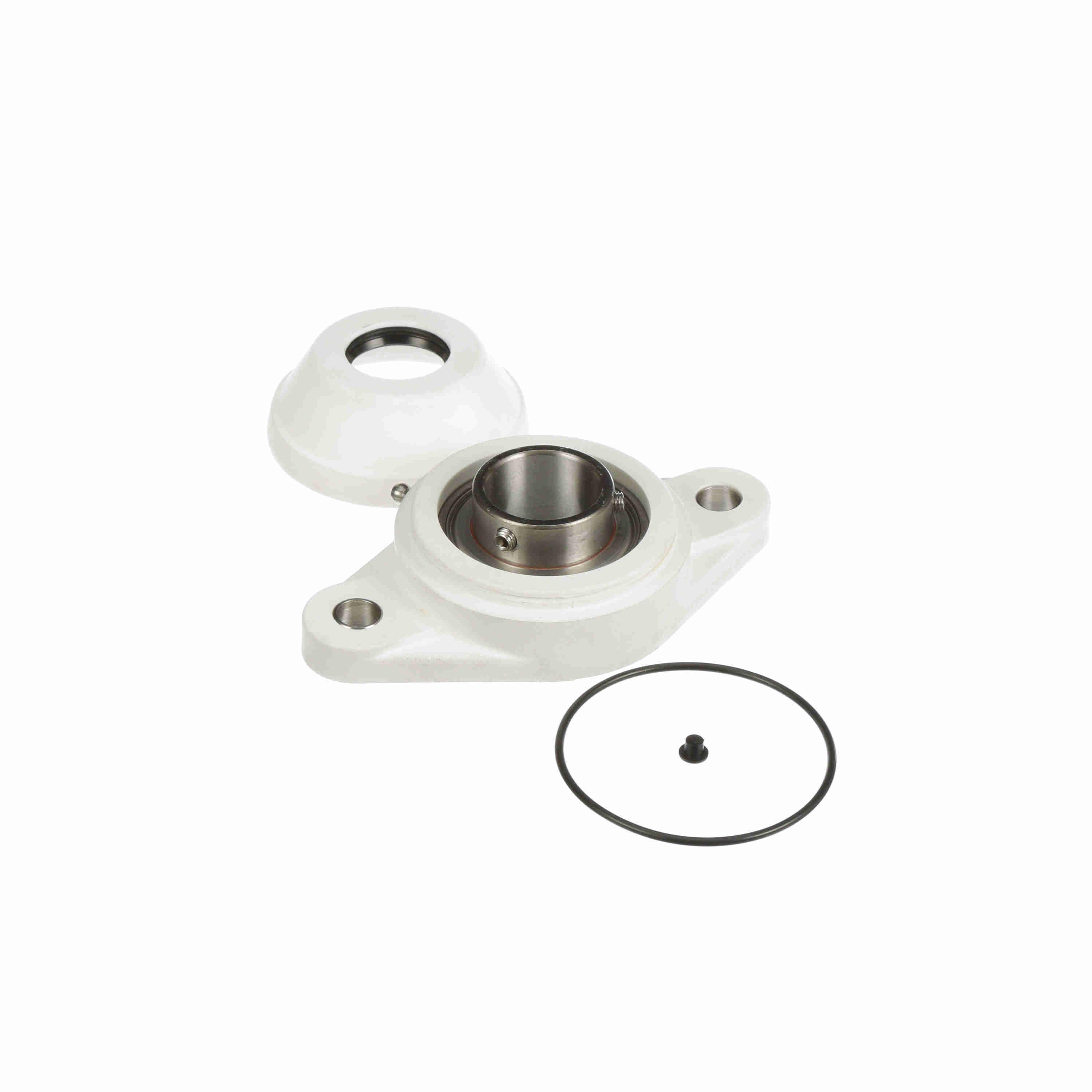 System Plast™ 790206CGR/SS-EC UCFH206-20SS-NC-OEC SPLAST